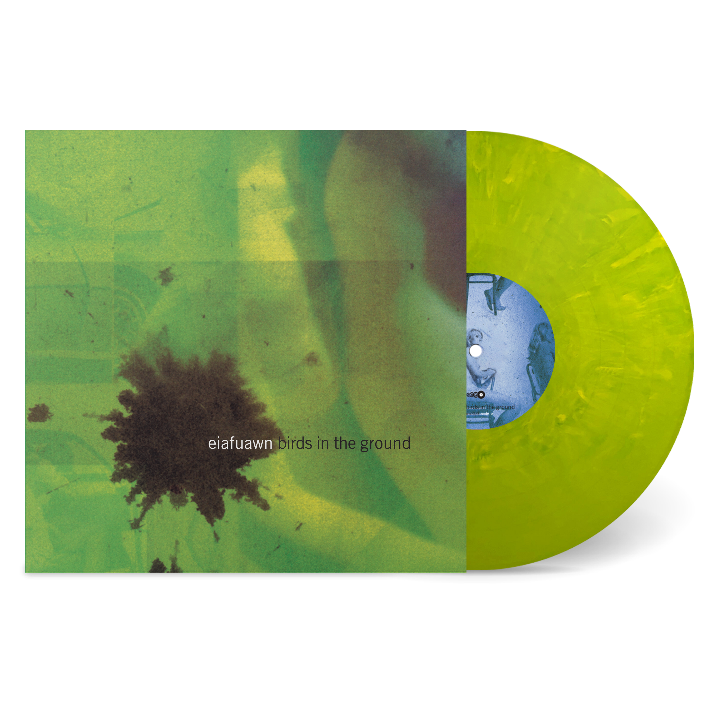 Birds In The Ground – Numero Group